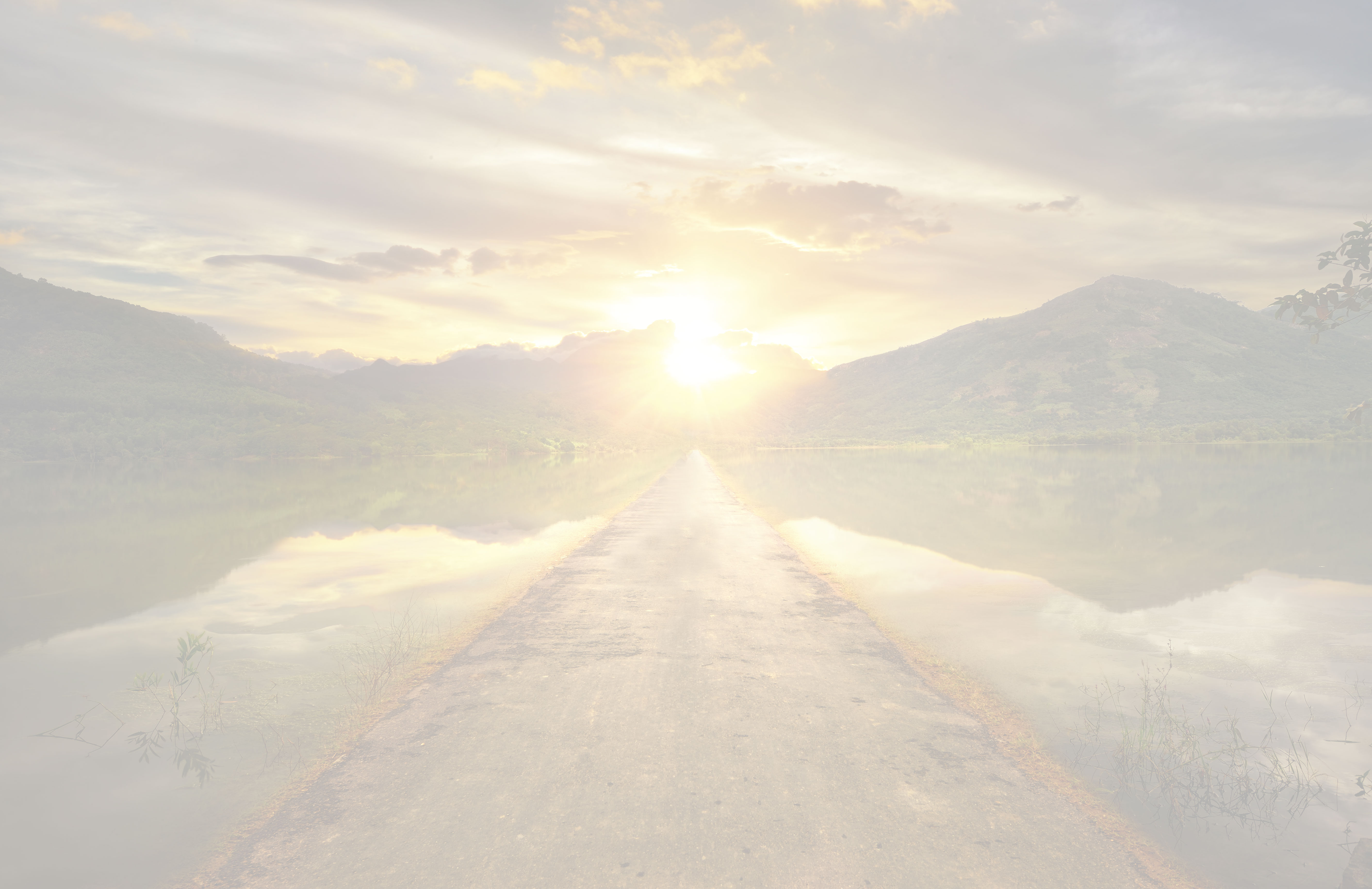 TCM-Background-V2 | TCM Acupuncture in Miami